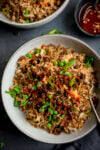 Minced Beef Fried Rice - Nicky's Kitchen Sanctuary