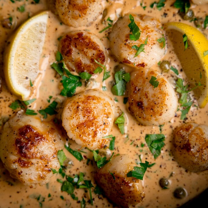 Creamy Garlic Scallops Recipe Nickys Kitchen Sanctuary
