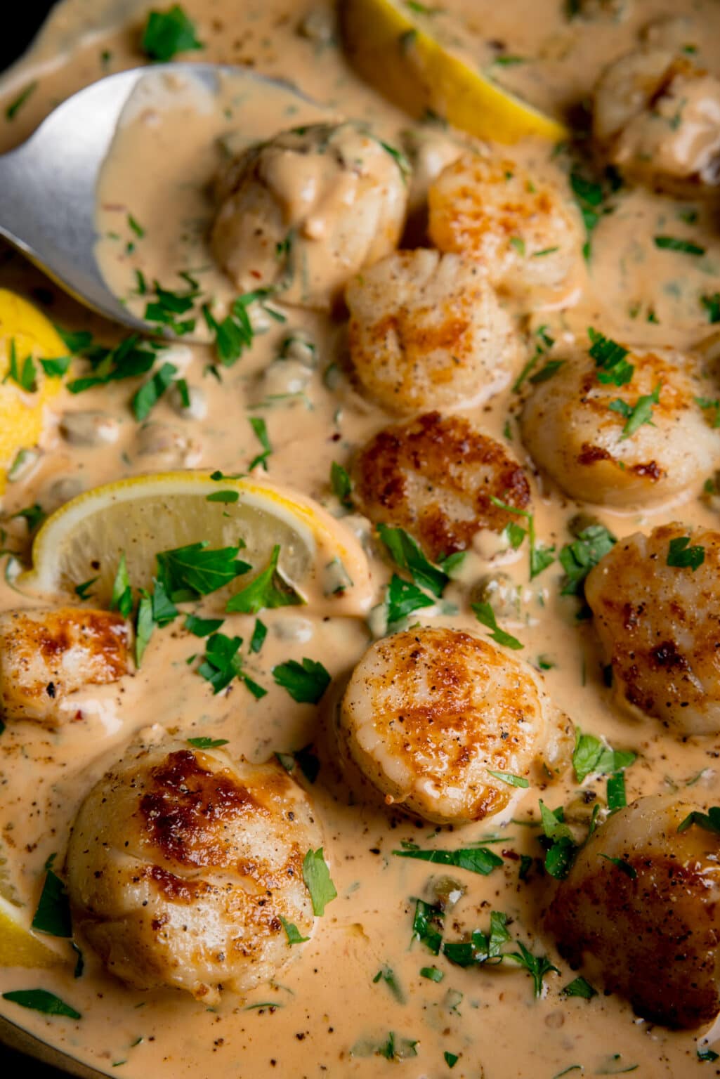 Creamy Garlic Scallops Recipe - Nicky's Kitchen Sanctuary