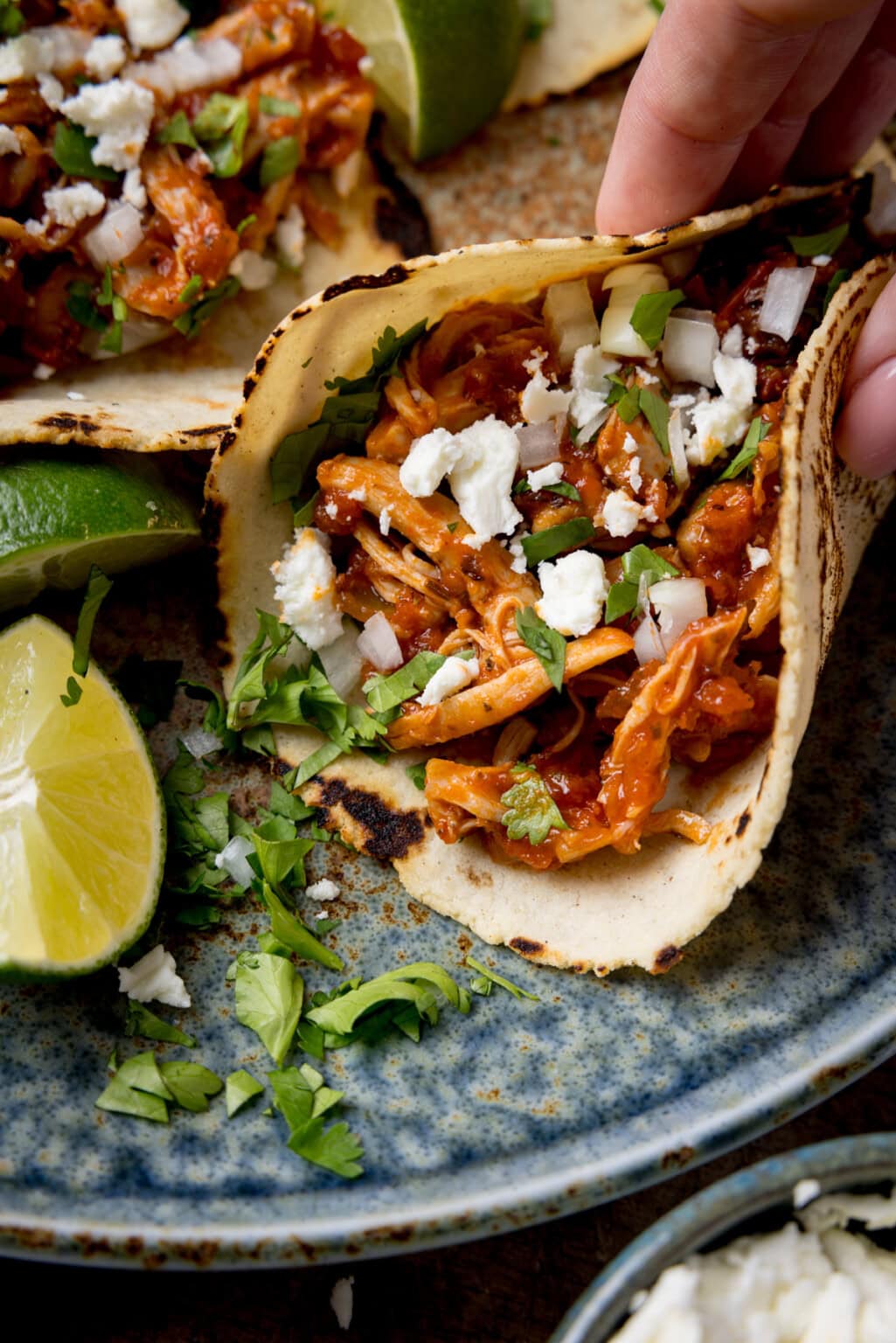 Chicken Tinga - Nicky's Kitchen Sanctuary